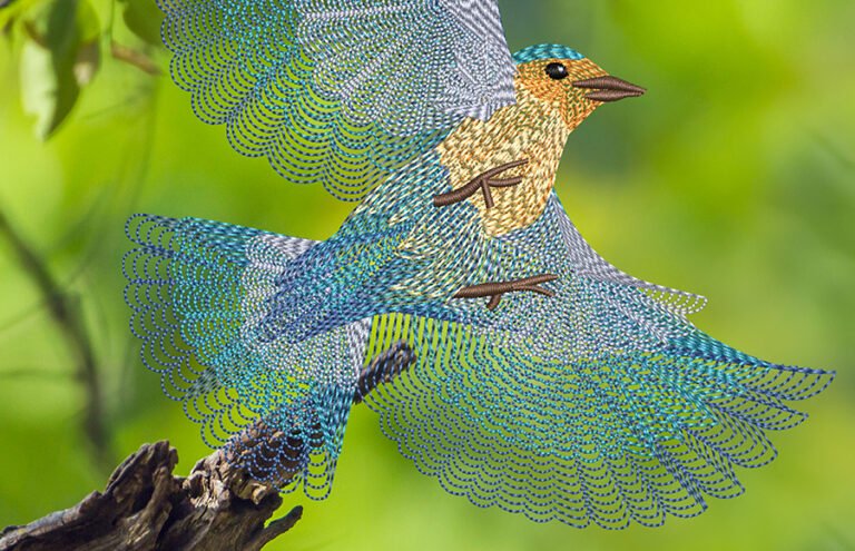 Top Digital Tools for Bird Pattern Designs